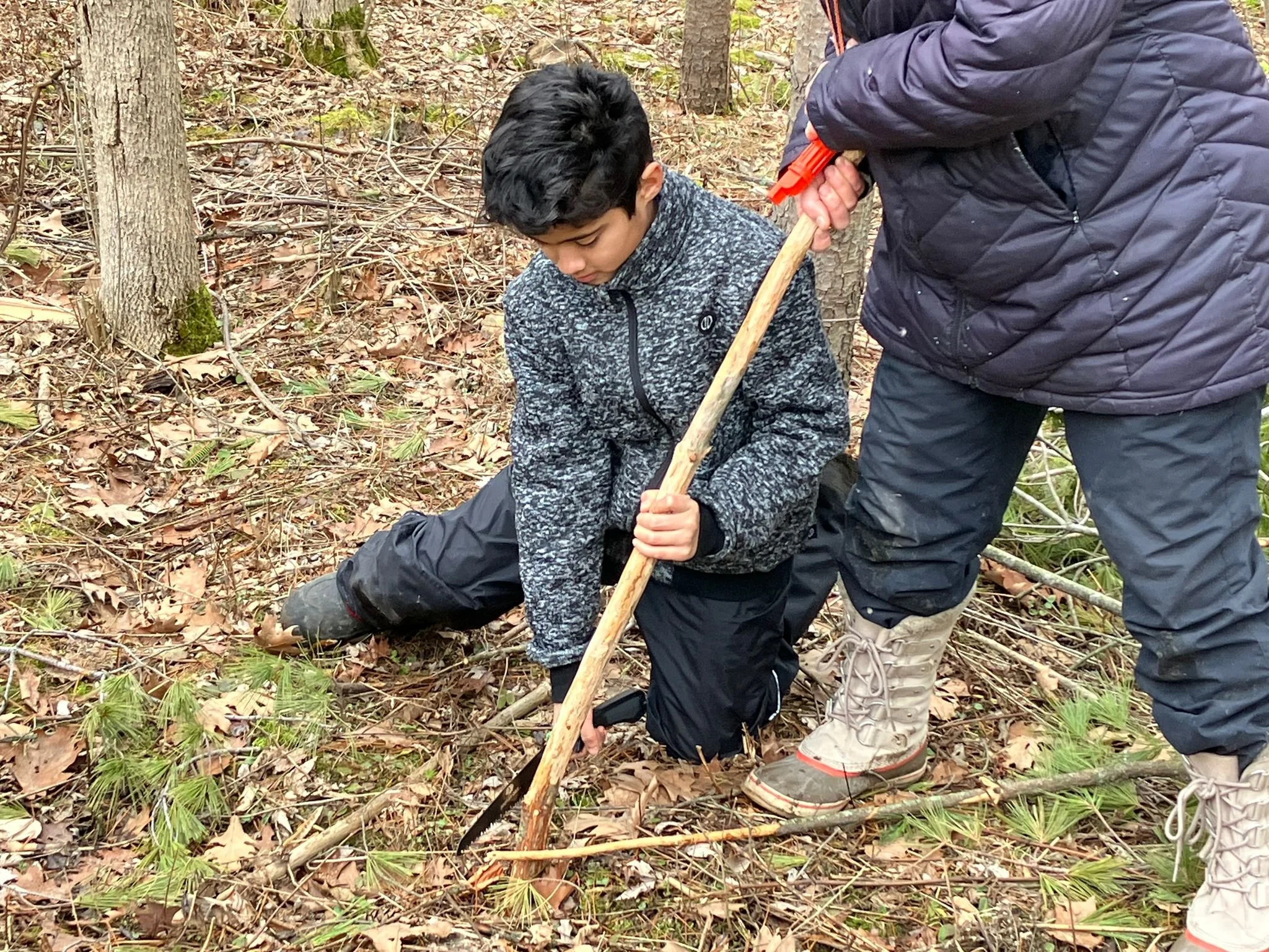 Earth Explorers — EarthSteps