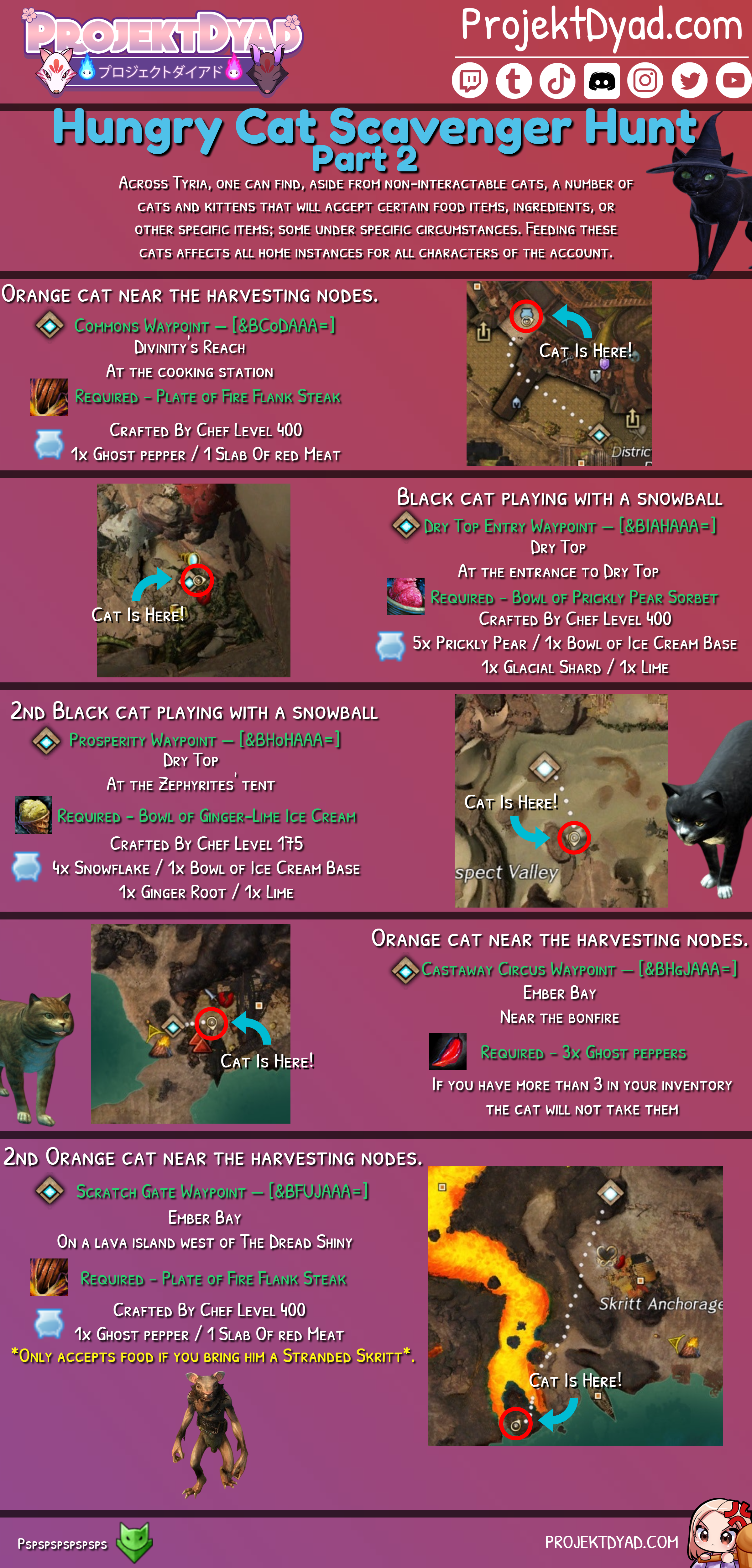 Hungry Cat Scavenger Hunt — ProjektDyad