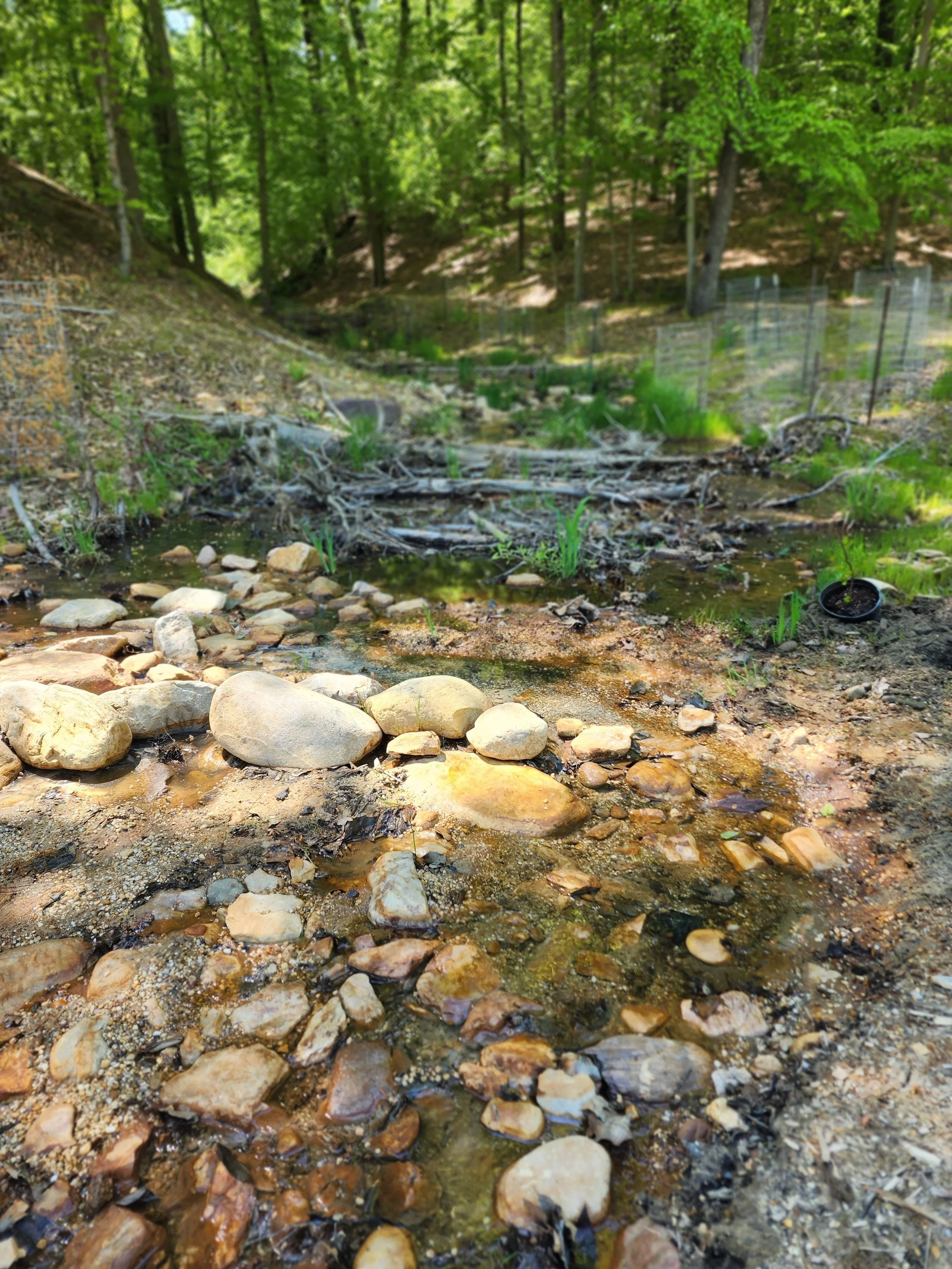 Center for Ecosystem Recovery