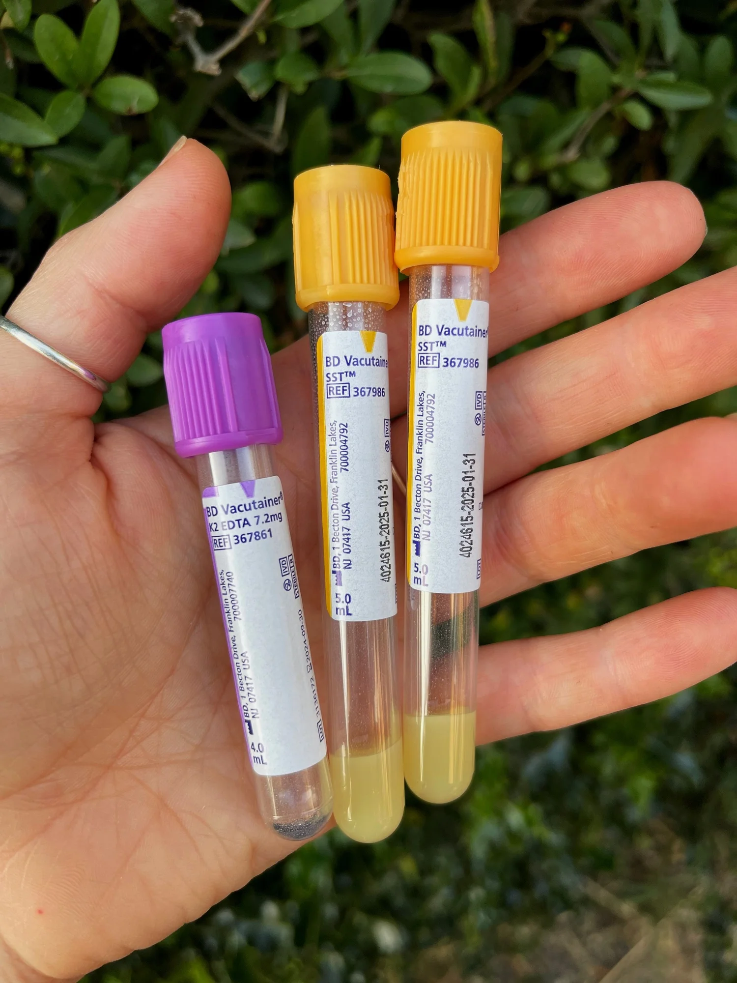 Our Services — Madrona Integrative Health