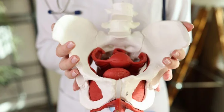 Essential Pelvic Floor Exercises for Optimal Health — Bergin Motion