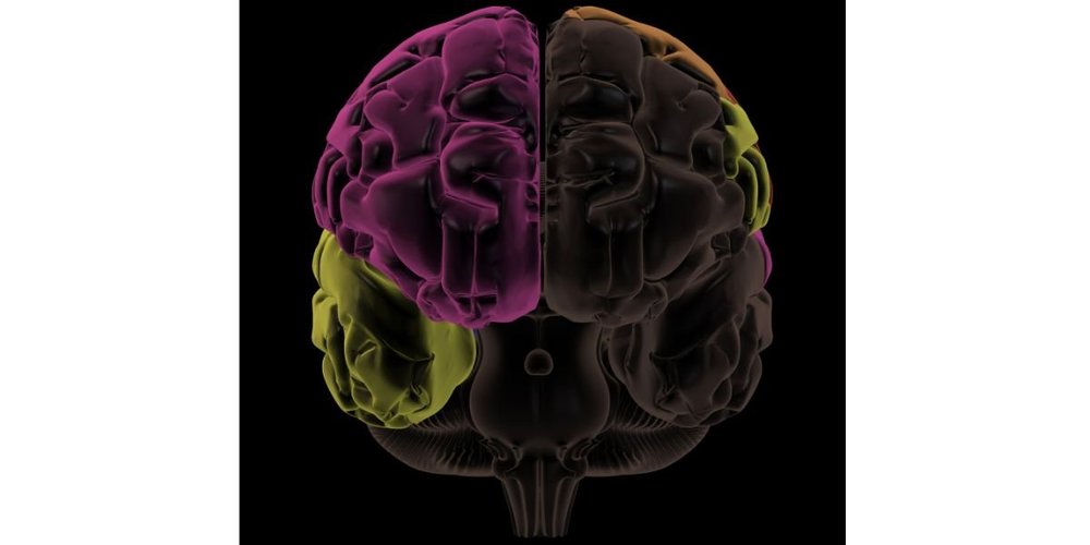 Understanding the Journey: An In-Depth Guide to a Realistic Stroke ...