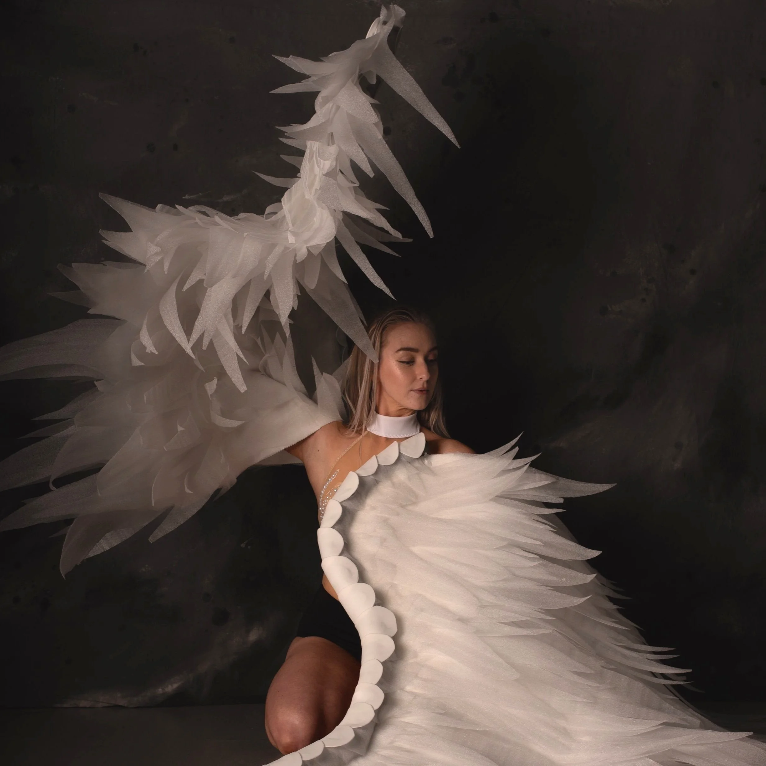 photoshoot, portrait photography, portrait photo,studio photography ...