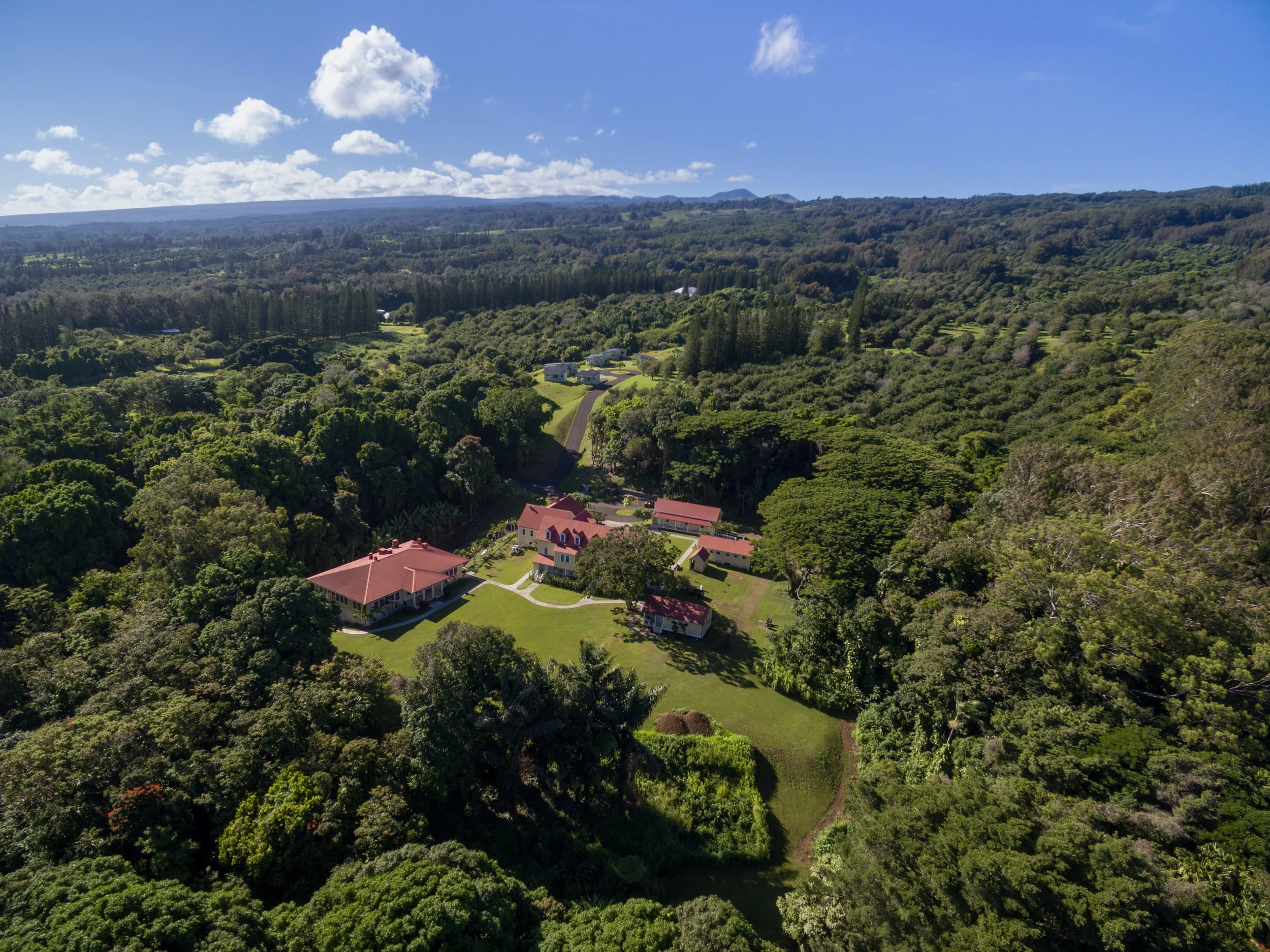 About Us — ʻIole Hawaii