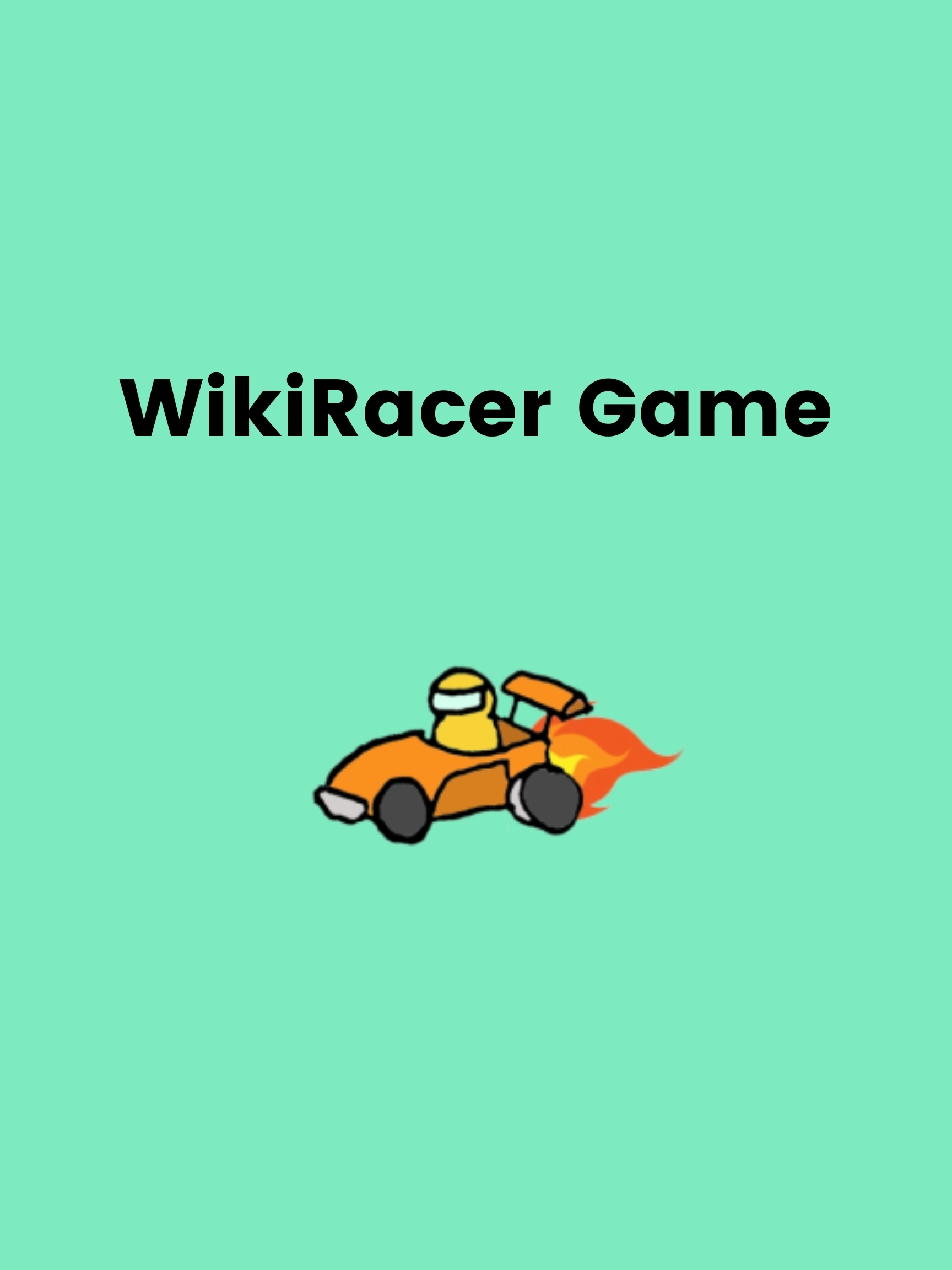 Portfolio — Palvisha Shoaib