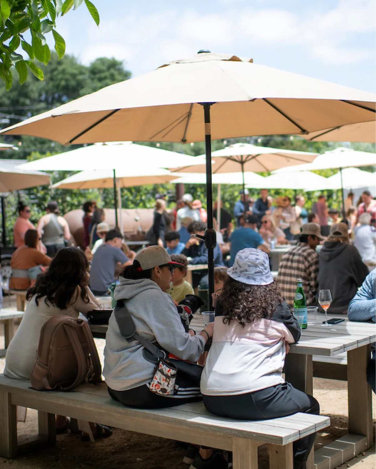 PRIEDITE BARBECUE — Bodega Los Alamos