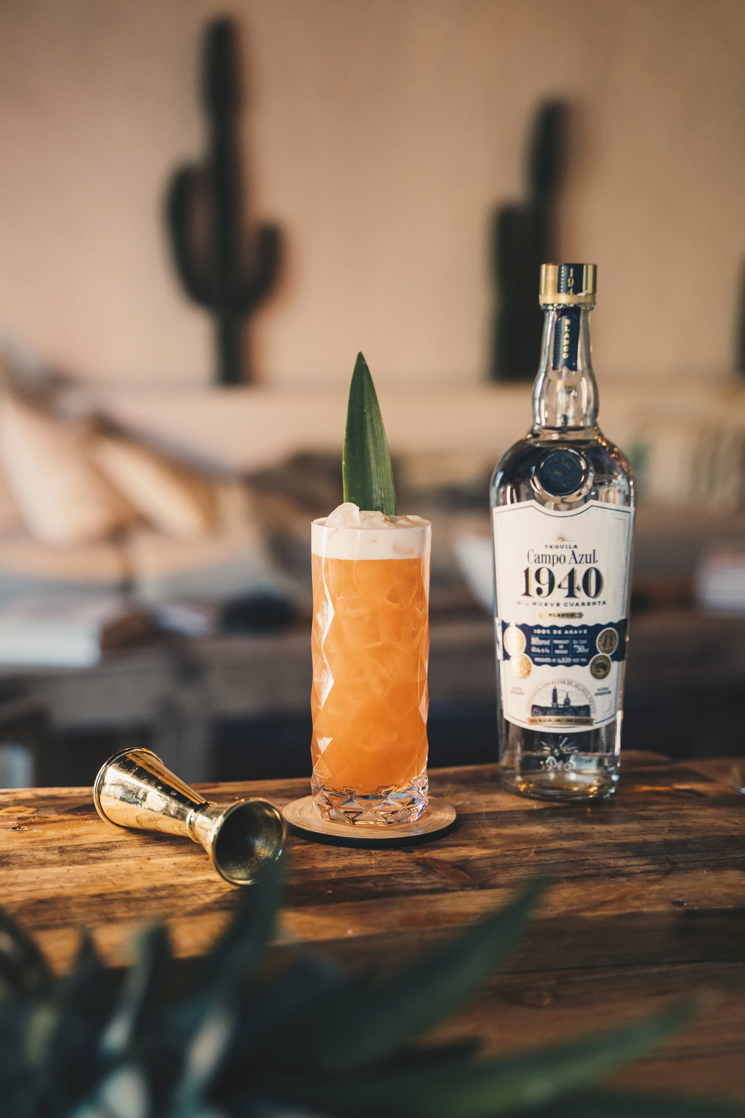 Success Stories - Nurturing Talent, Shaping Legends — Coastline Creatives