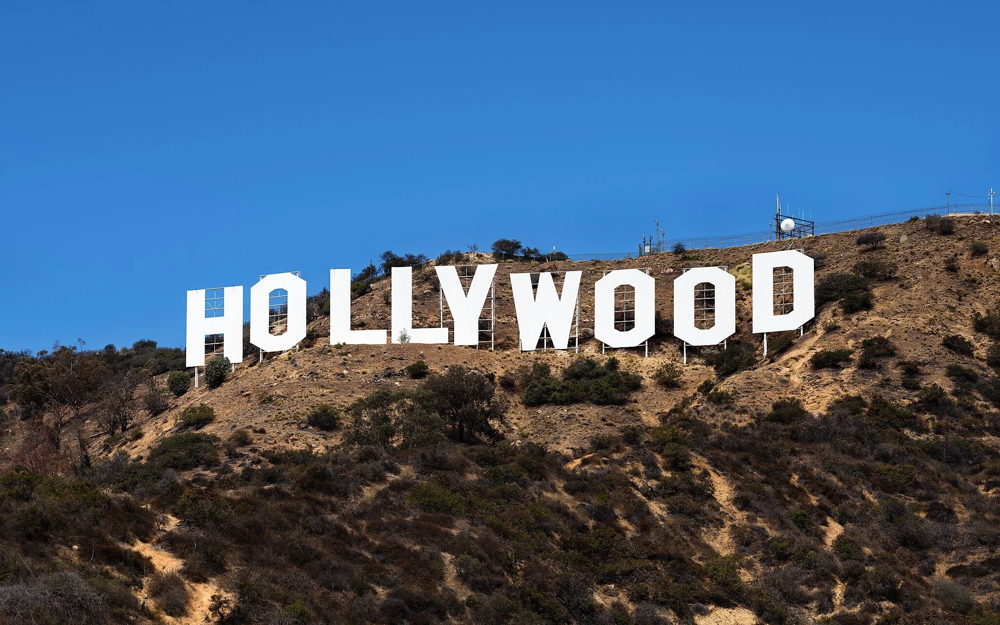 Runway CEO Cris Valenzuela Champions AI as Hollywood-Friendly, Not ...