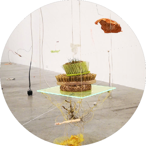 A Lively Arrangement — THE PROVOCATION COLLECTION