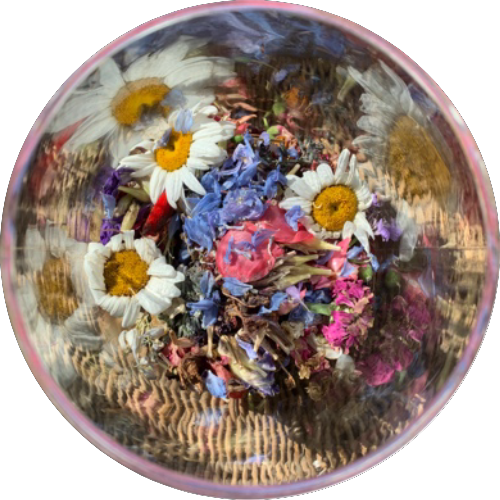 Colour Scheme — THE PROVOCATION COLLECTION