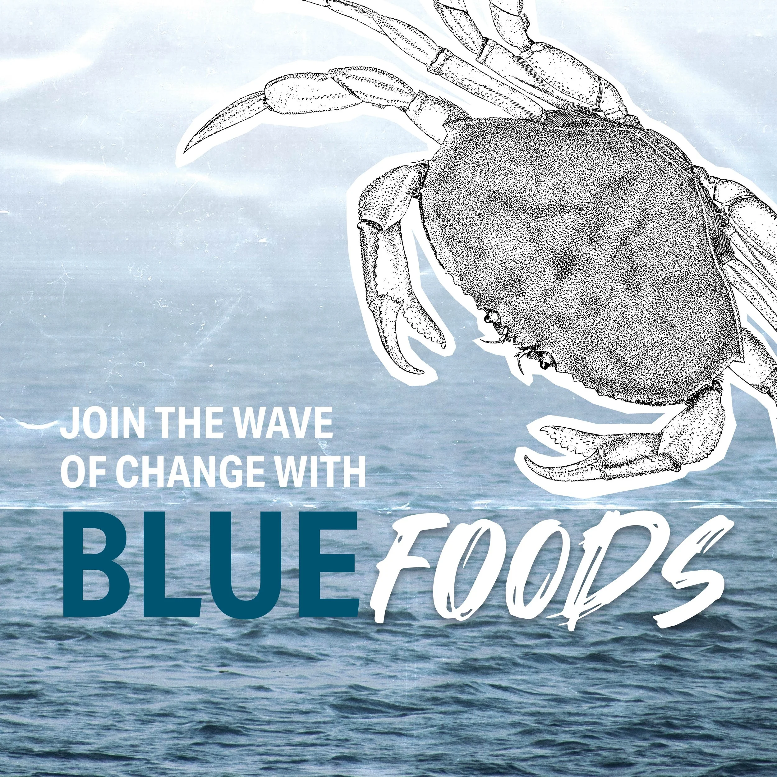 Go Deep with Blue Foods — Local Ocean