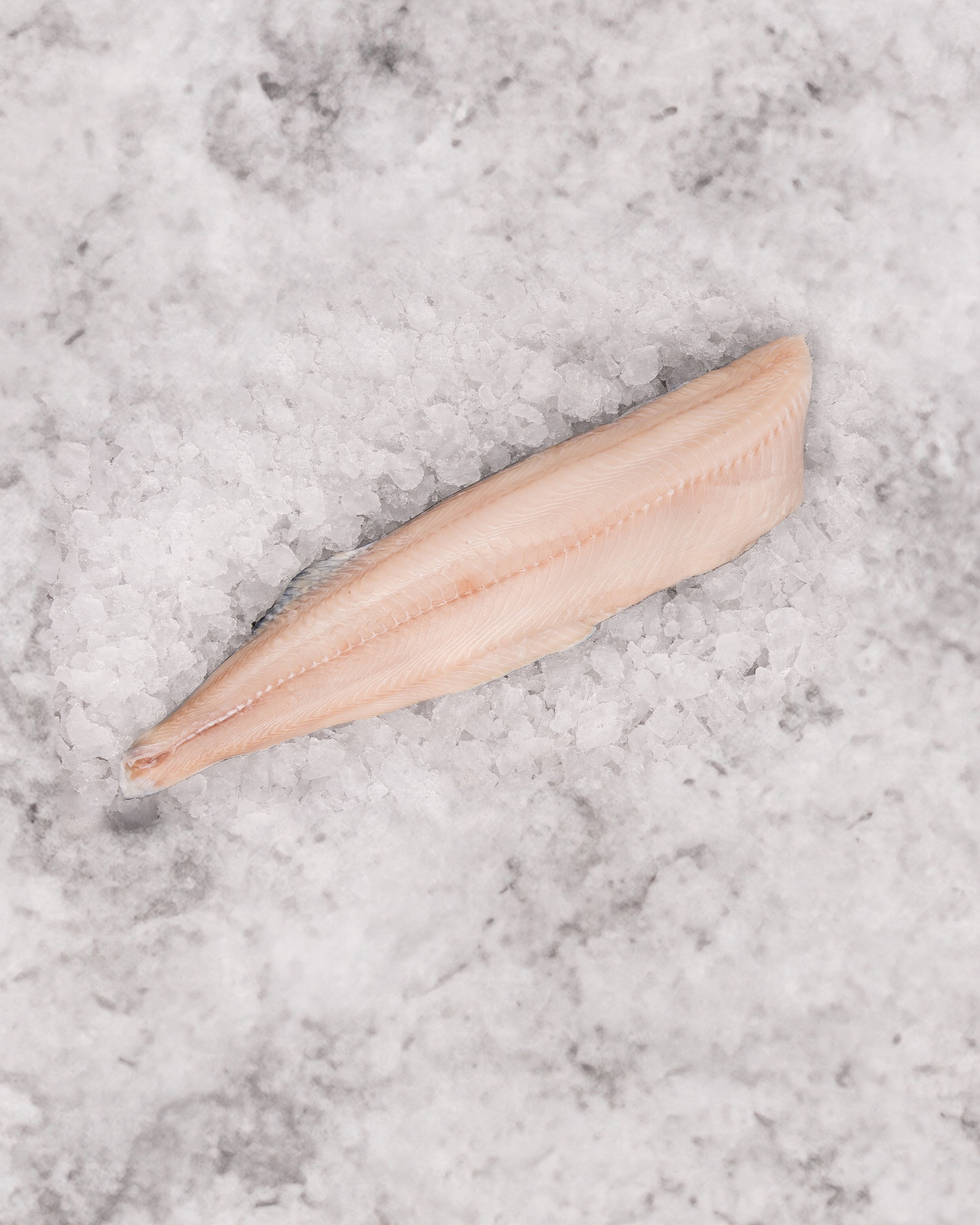 Black cod — Local Ocean