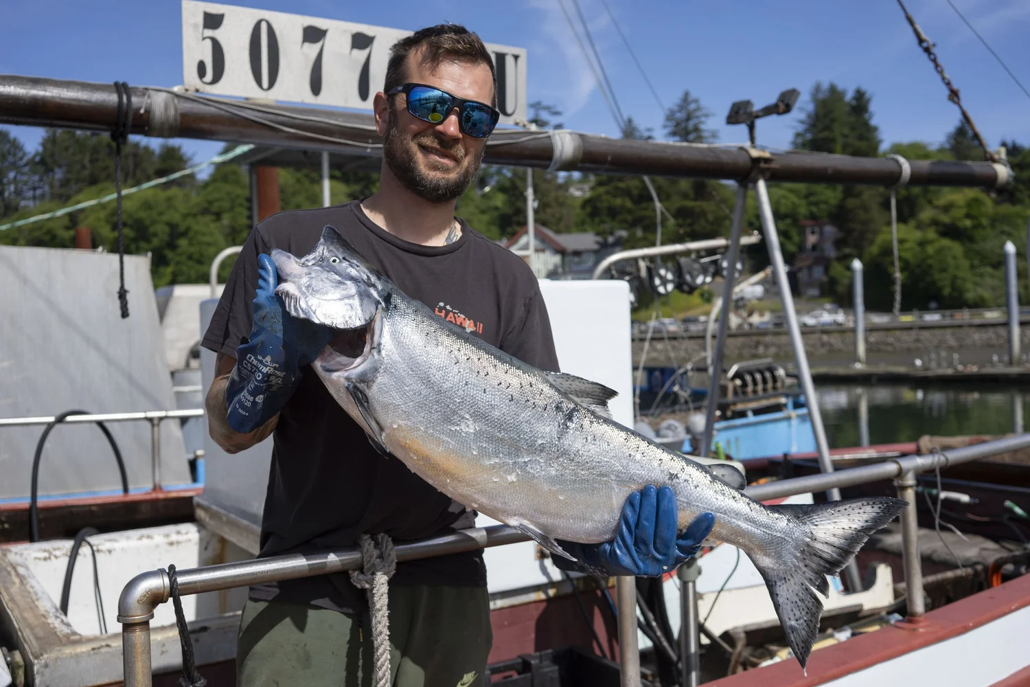 Local Ocean Dives Deep Into: The Seafood Paradox — Local Ocean