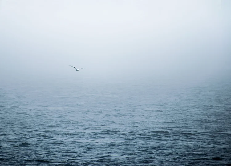 Local Ocean