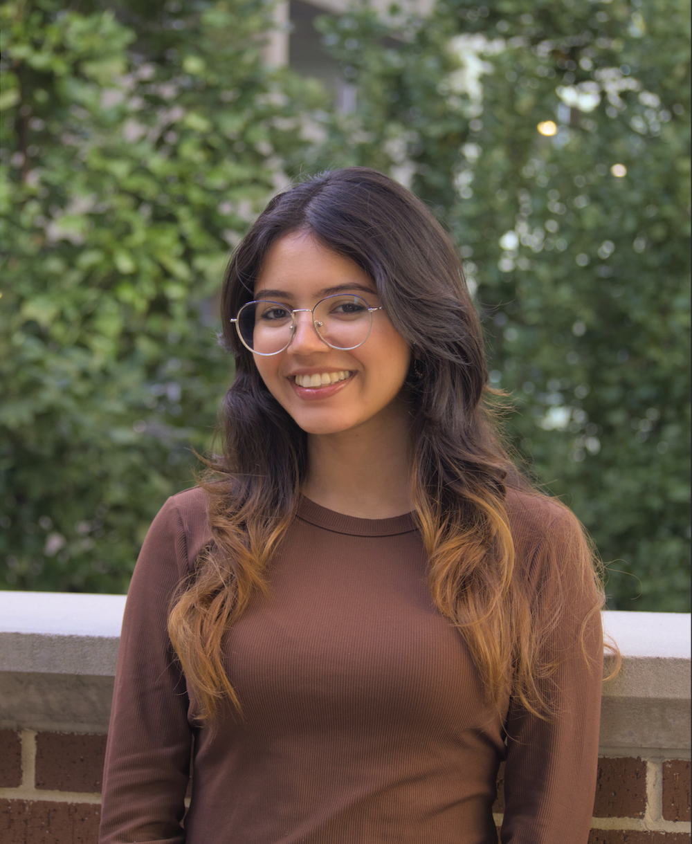 Our Team — Play and Learn Lab