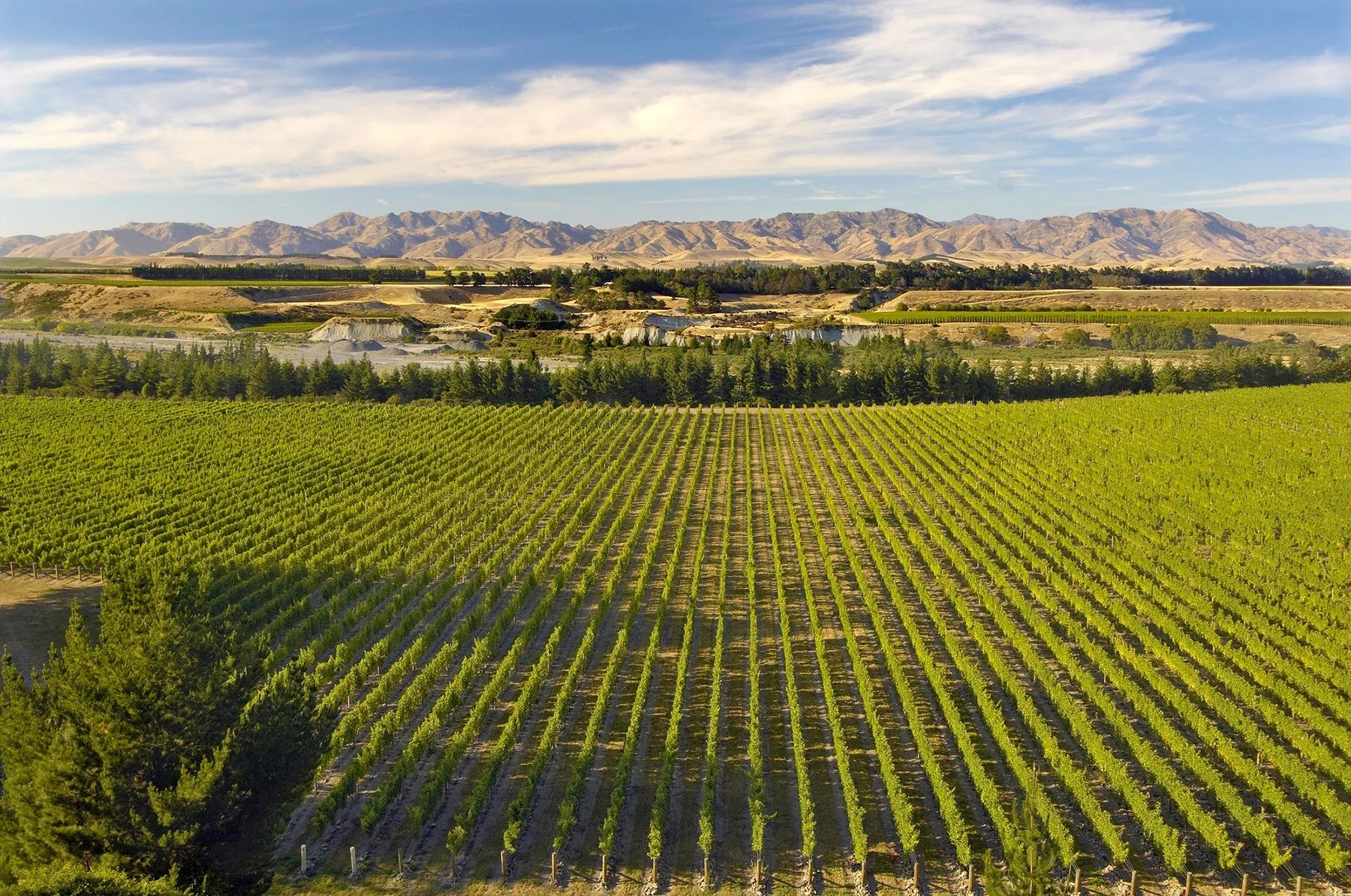 Plan your journey — Classic New Zealand Wine Trail