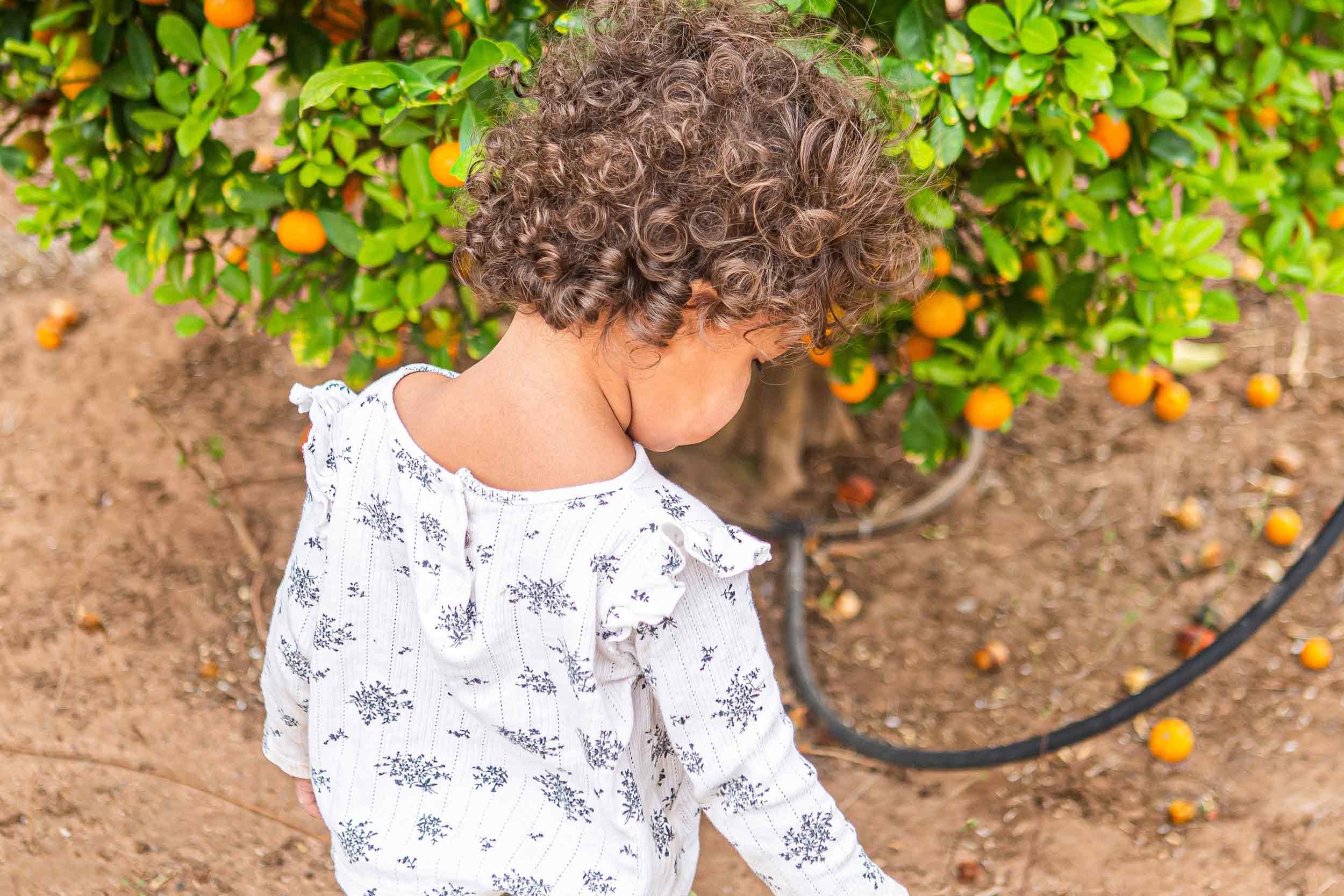 Northern Grampians Shire — By Five Early Years Initiative
