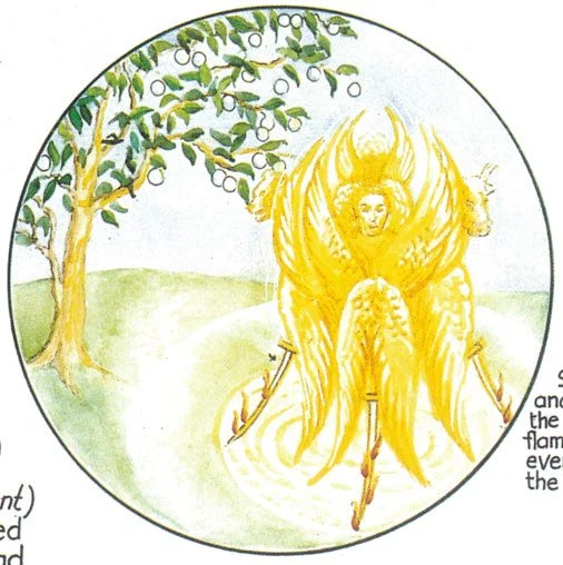 Start - God's 7000 Year Plan