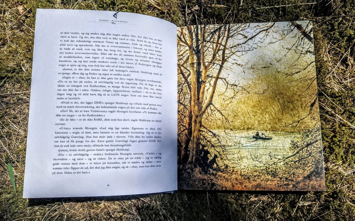 The Wind in the Willows - A Timeless Tale Enhanced in a New Edition ...
