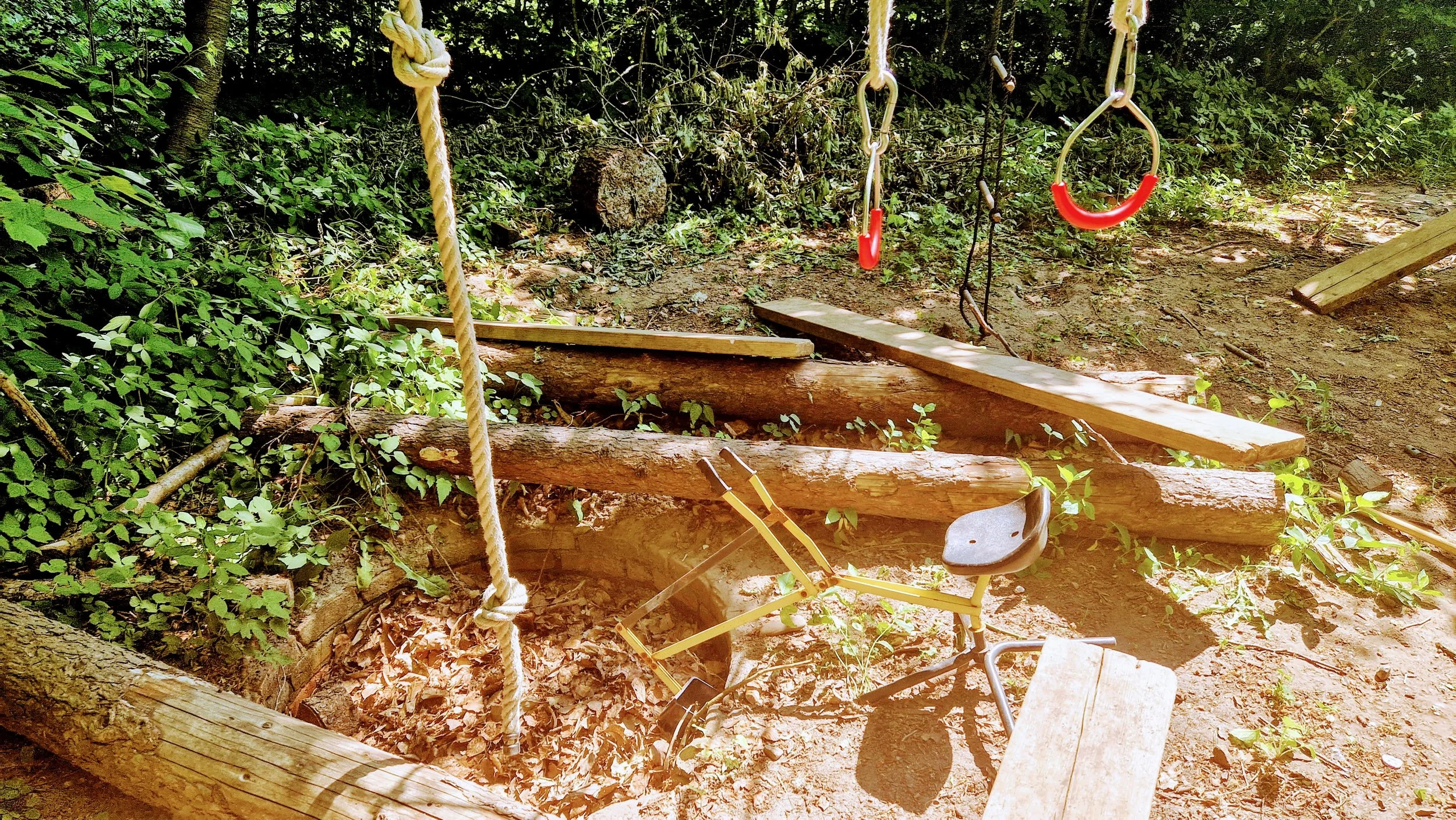 Ascending with Amusement: Weaving Ropes and Swings into Our Nature’s ...