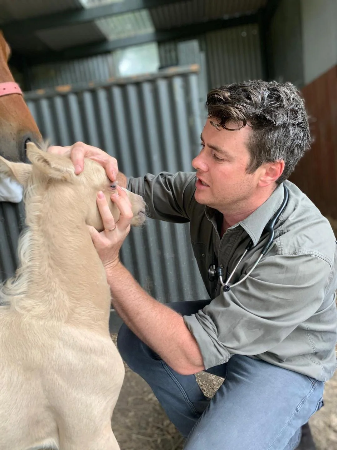 Our Team — Yarra Valley Veterinary Surgery