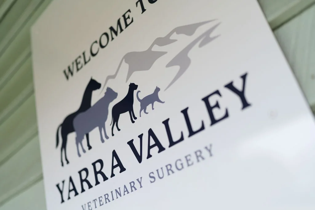 Seville Veterinary Clinic | Yarra Valley Veterinary Surgery