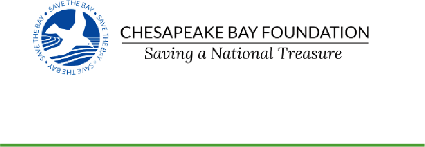 Our Experience — Relish Catering