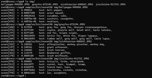 Vitis AI Library Examples — Learn RADARs and FPGA on Practice