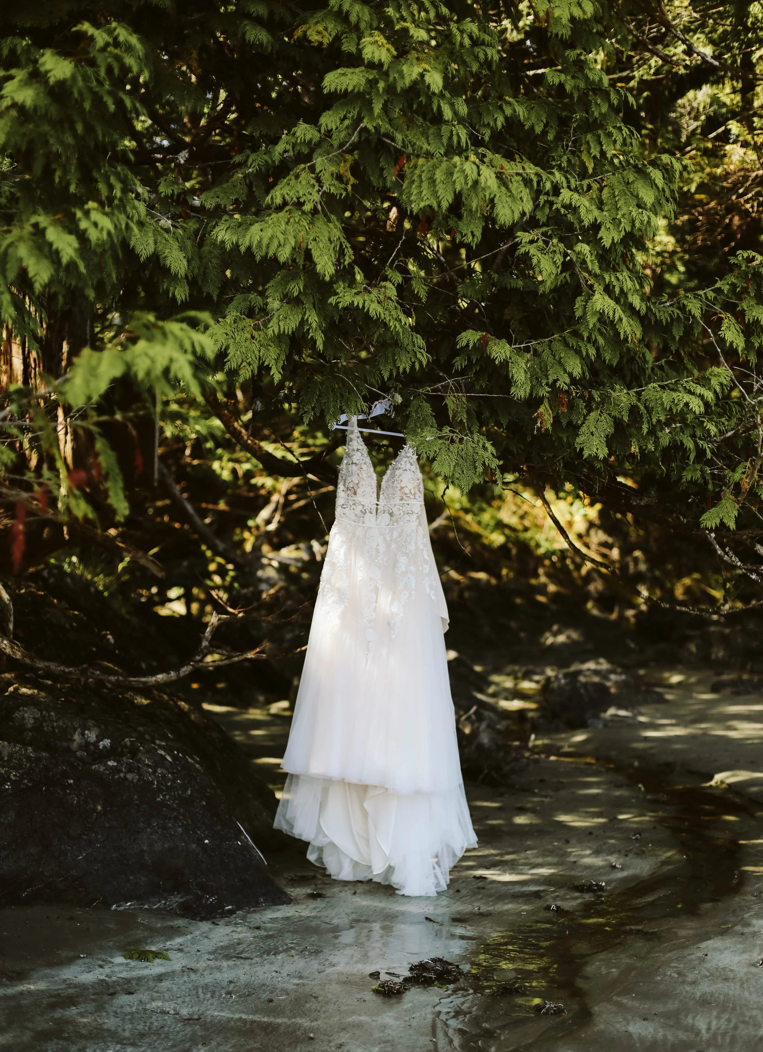 Tara Callaghan - 35mm Documentary Wedding Photography