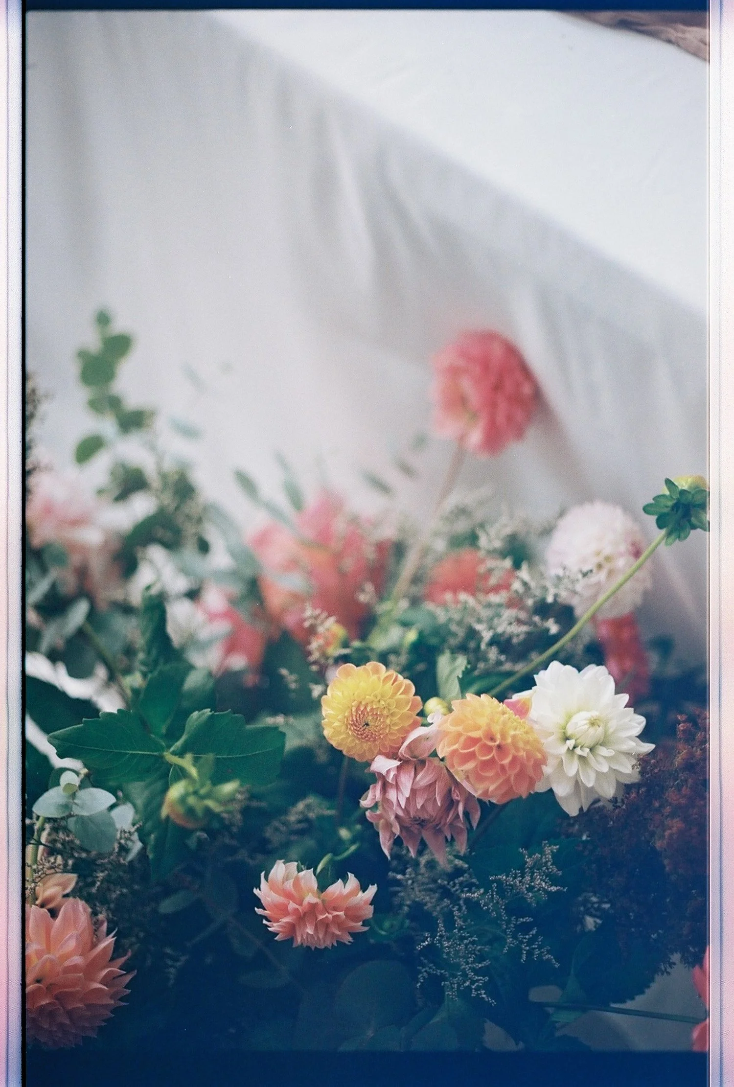 Tara Callaghan - 35mm Documentary Wedding Photography