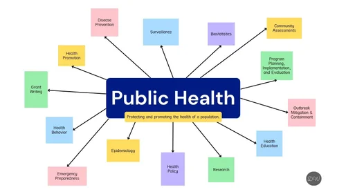 What Is the Field of Public Health? My Journey to Find It — DocWalk Health