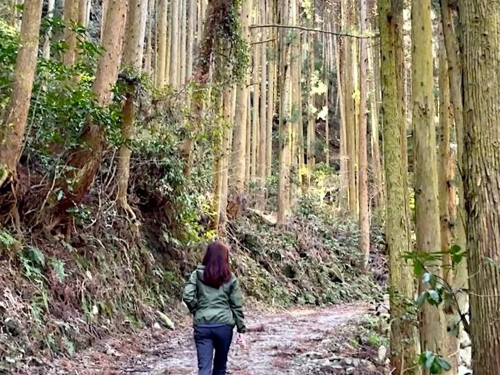 Japan's Ultimate Yoga Retreat Package | Kyushu Island