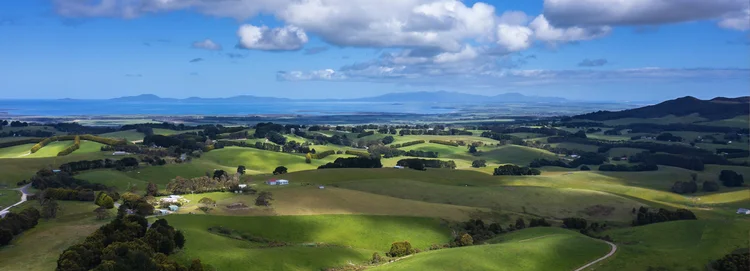 Merrington Real Estate