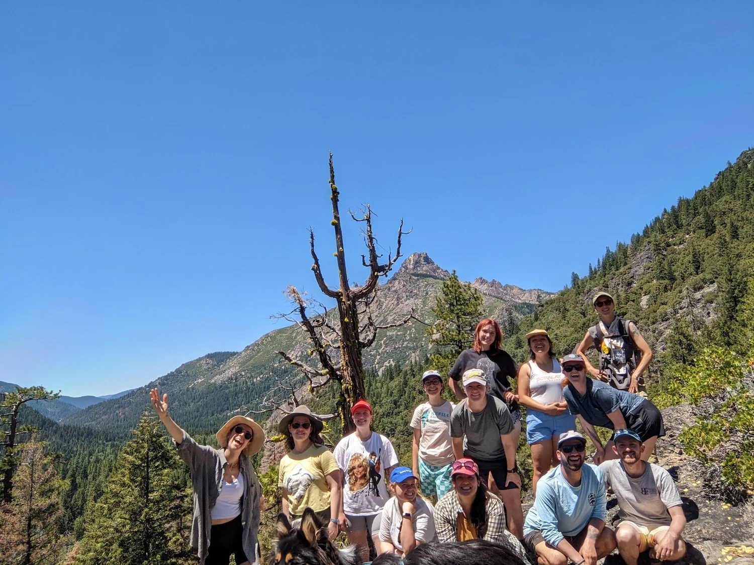 What we do — Branching Out Adventures
