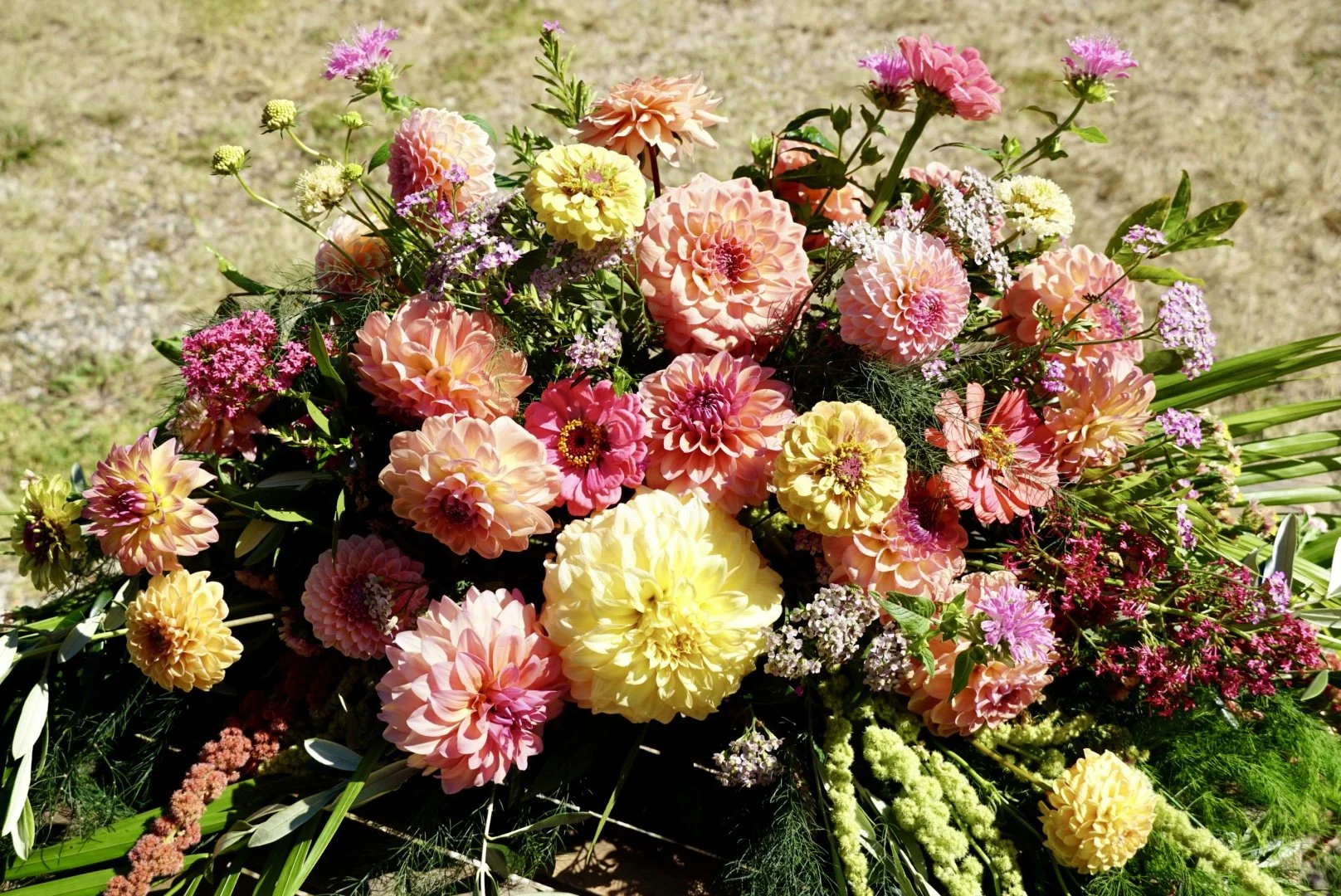 About — Paddock Flowers