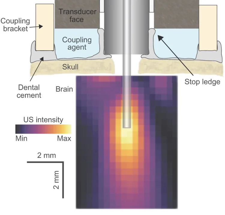 Techniques — Farrell Lab