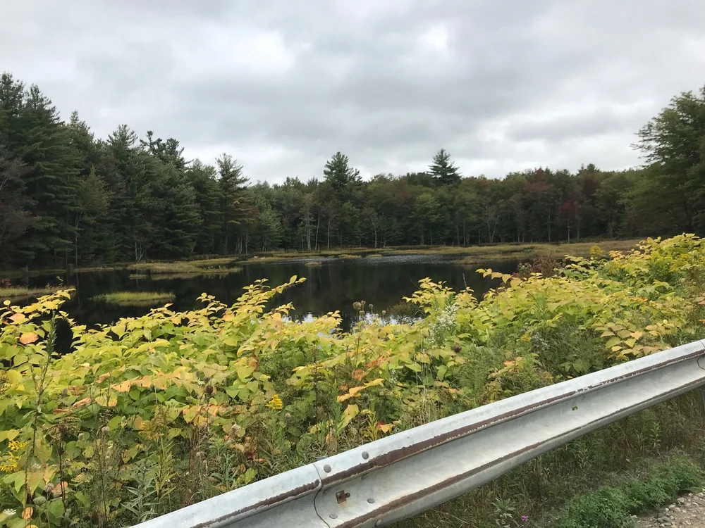 Gallery 3 — Town of Poestenkill
