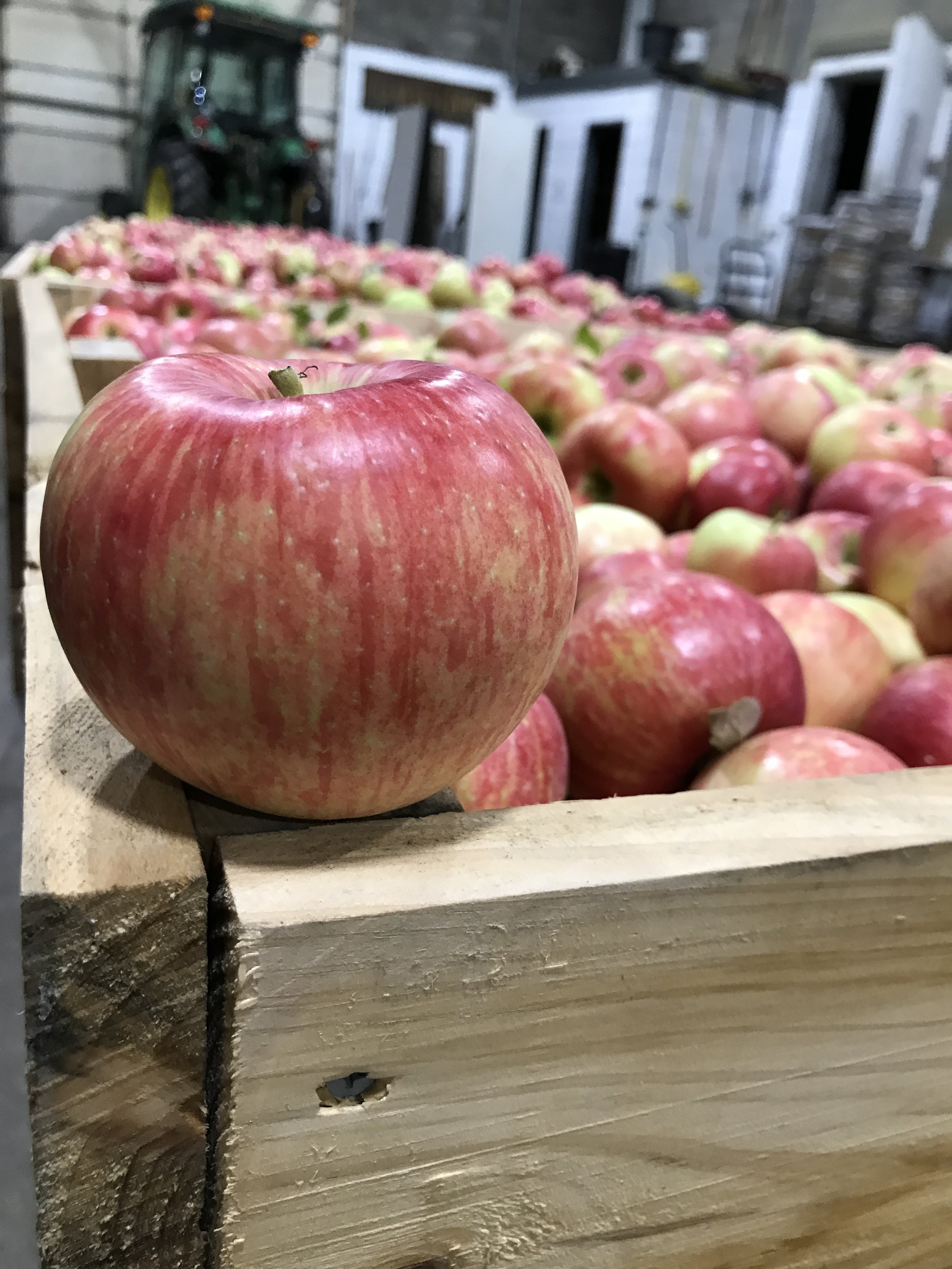 Brookwood Fruit Farm - A Quiet Place for Families