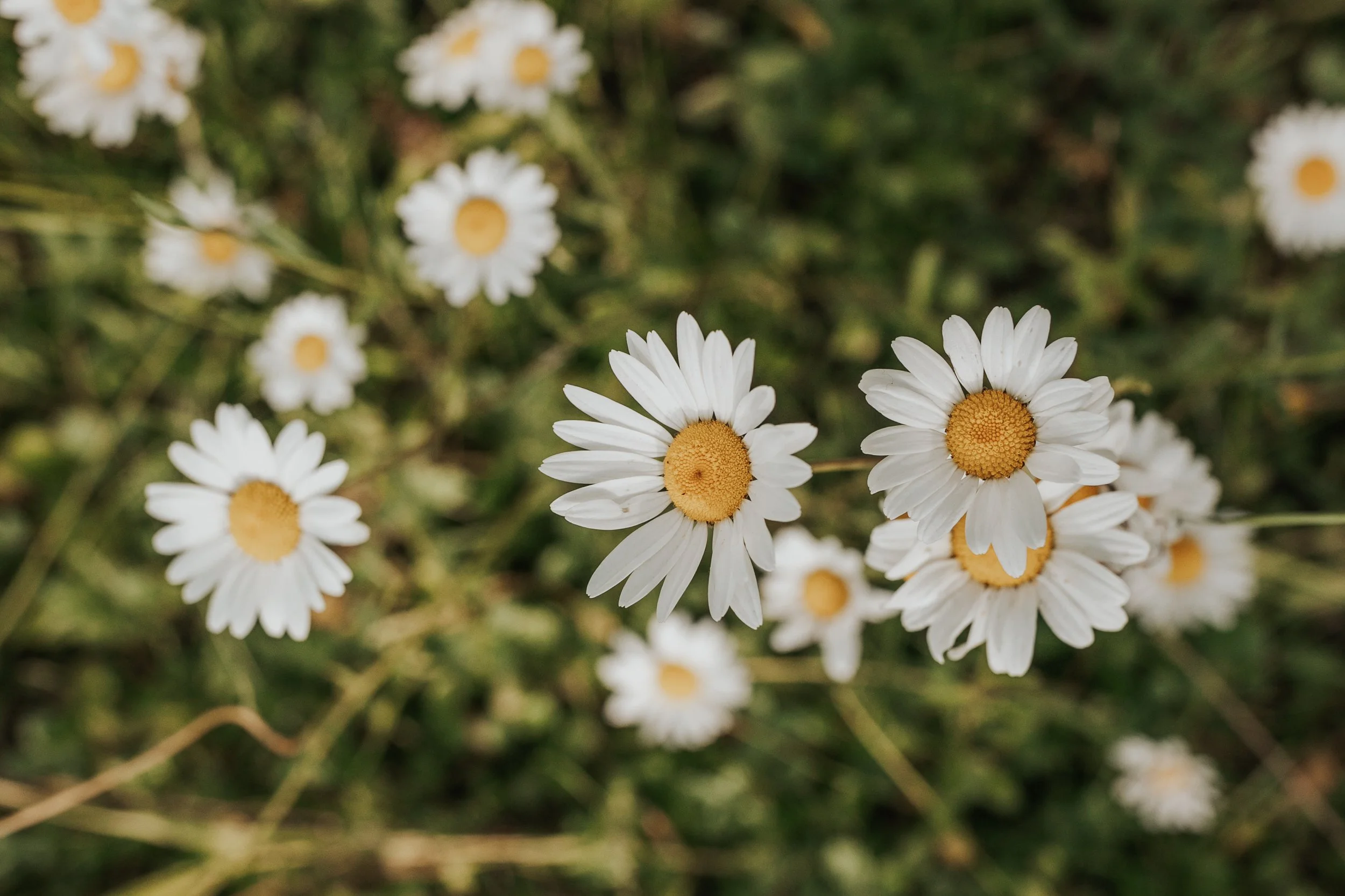 Arrowleaf Massage & Bodywork