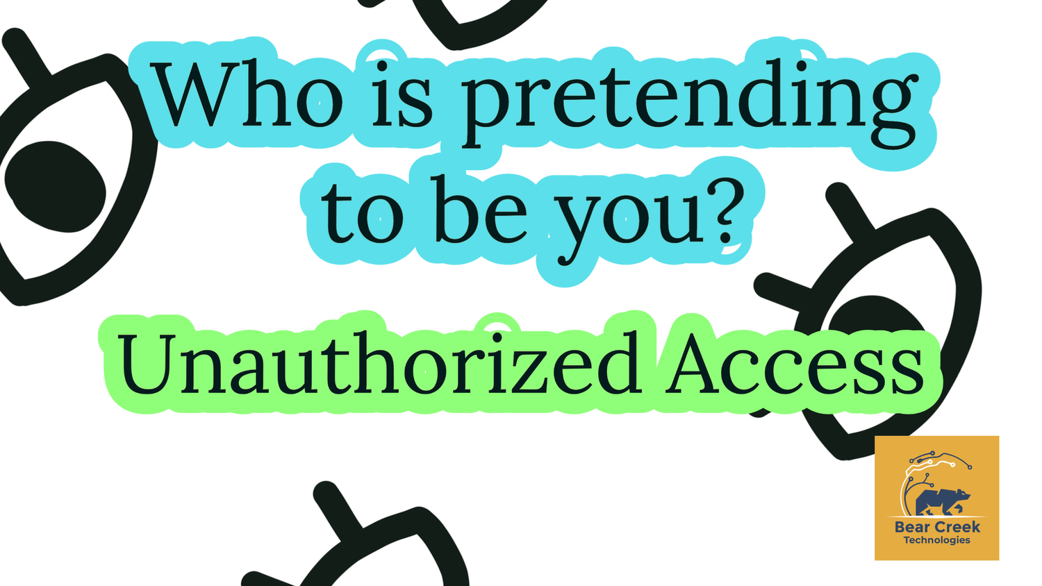 What is Unauthorized access — Bear Creek Technologies