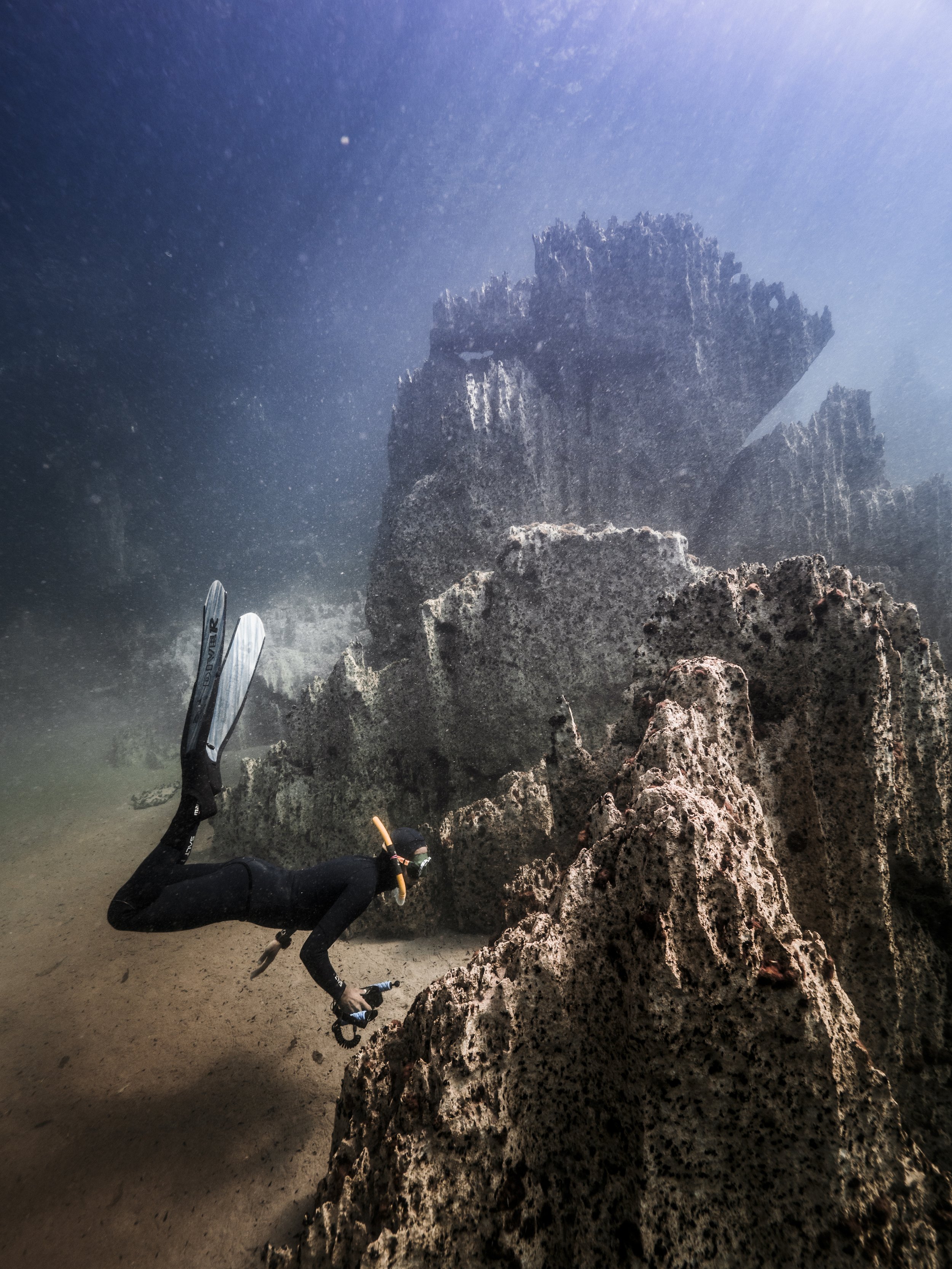 Meet Our Holistic Travel Team | Freediving Instructors, Underwater ...