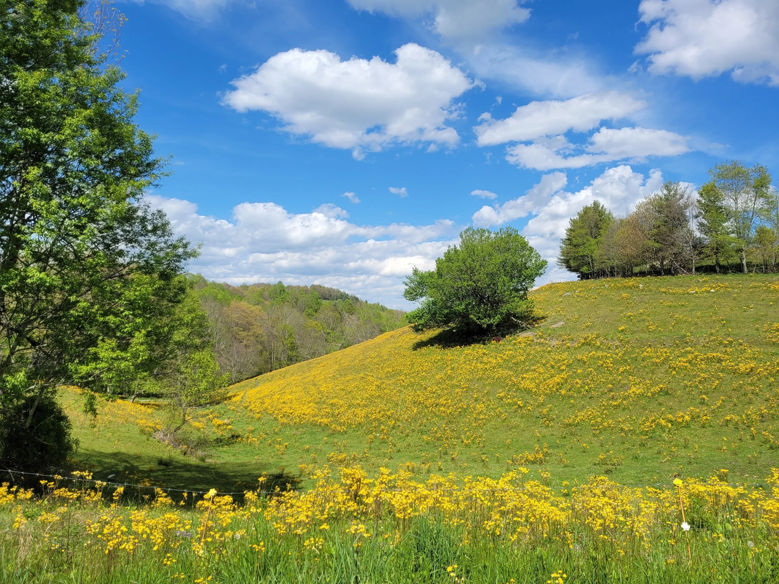 Pathways Counseling & Behavioral Healthcare