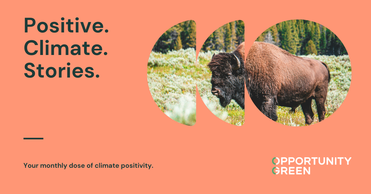 Positive climate stories in March — Opportunity Green