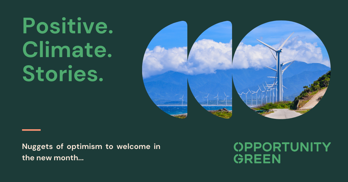 Summer Positive Climate Stories — Opportunity Green