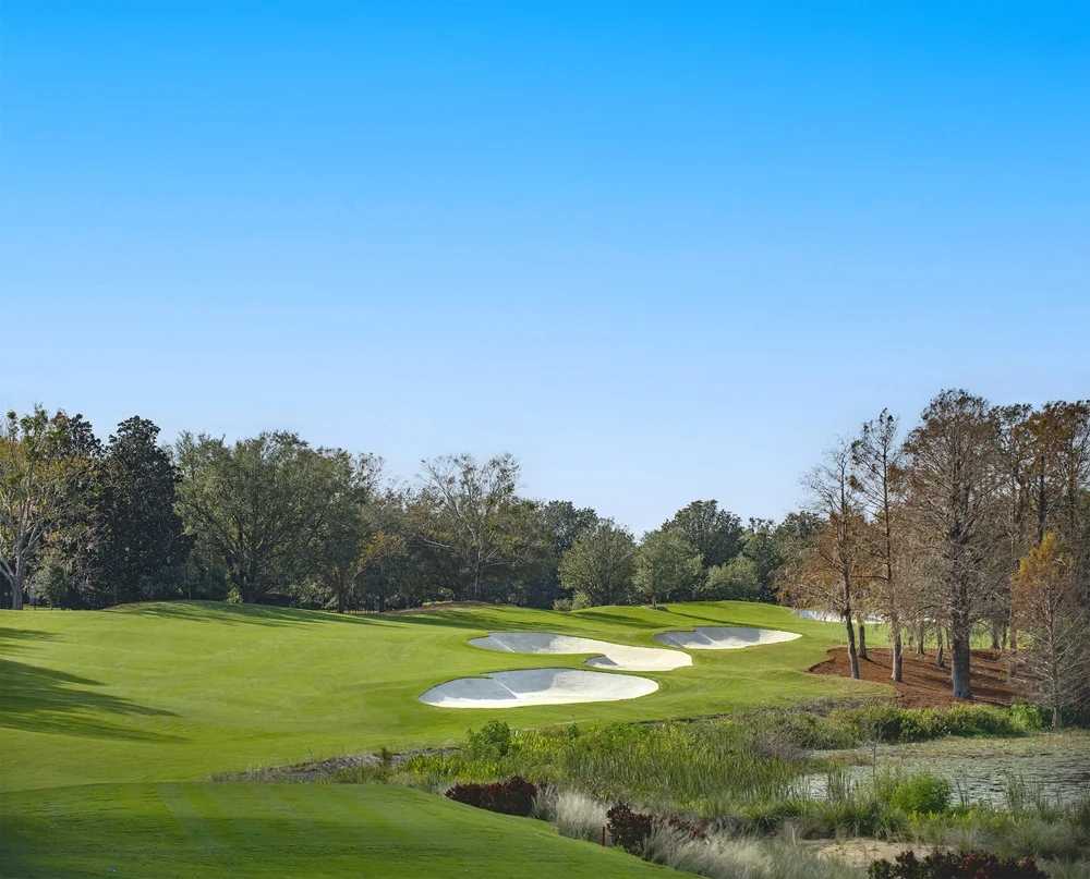 8th Annual Dr David Robinson Golf Classic — Young Black Men of Excellence