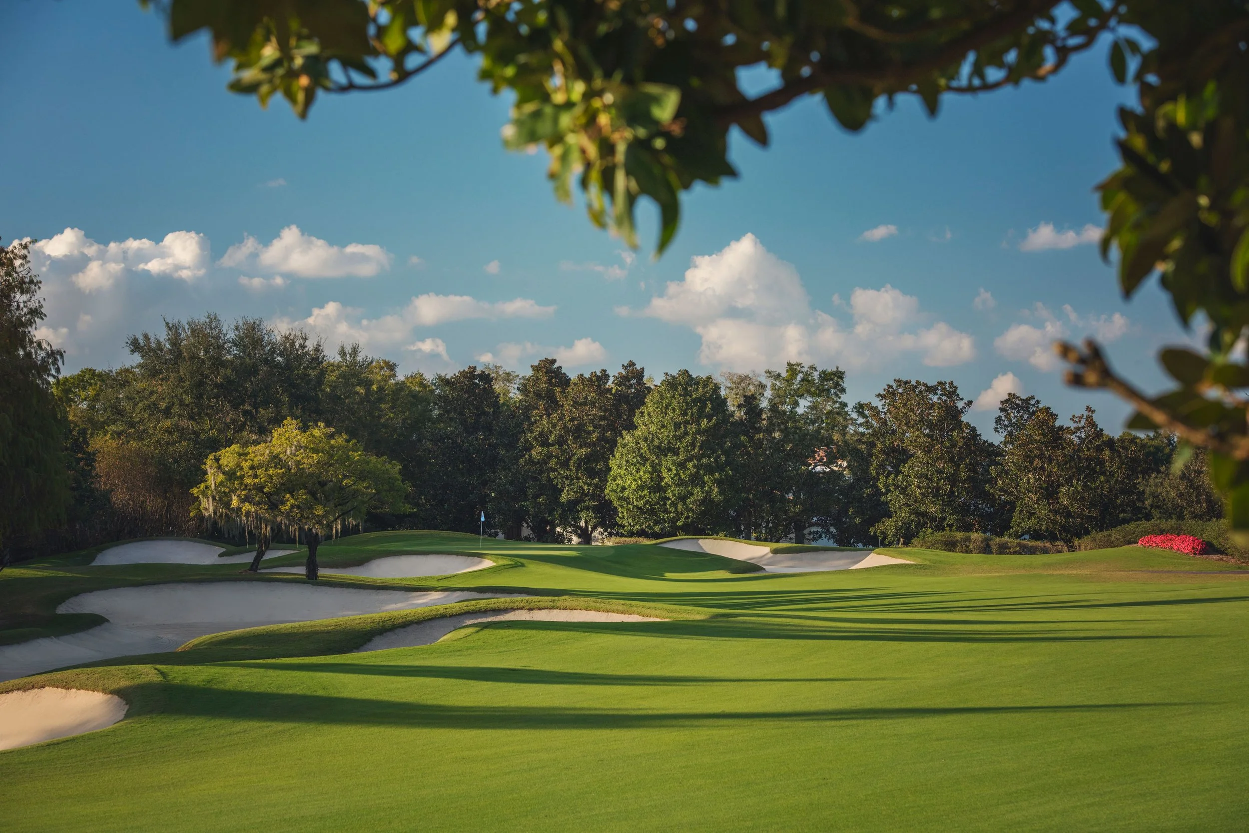 6th Annual Dr David Robinson Golf Classic — Young Black Men of Excellence