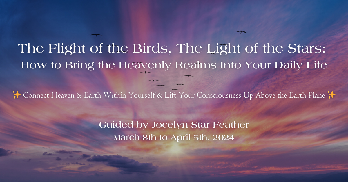 BIRDS & STARS COURSE — Sacred Planet