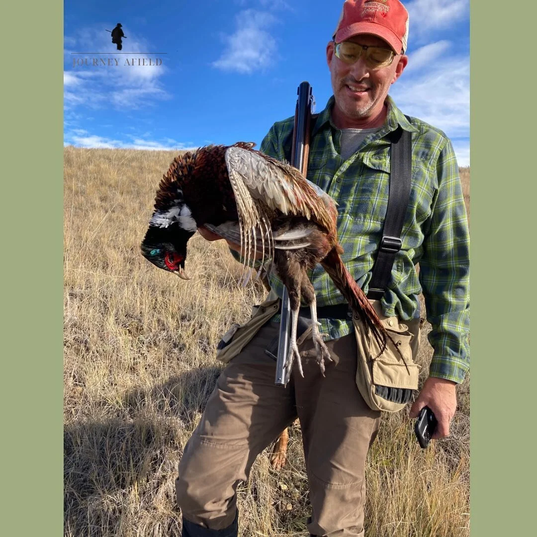 Upland Game bird conservation and upland hunting — Journey Afield