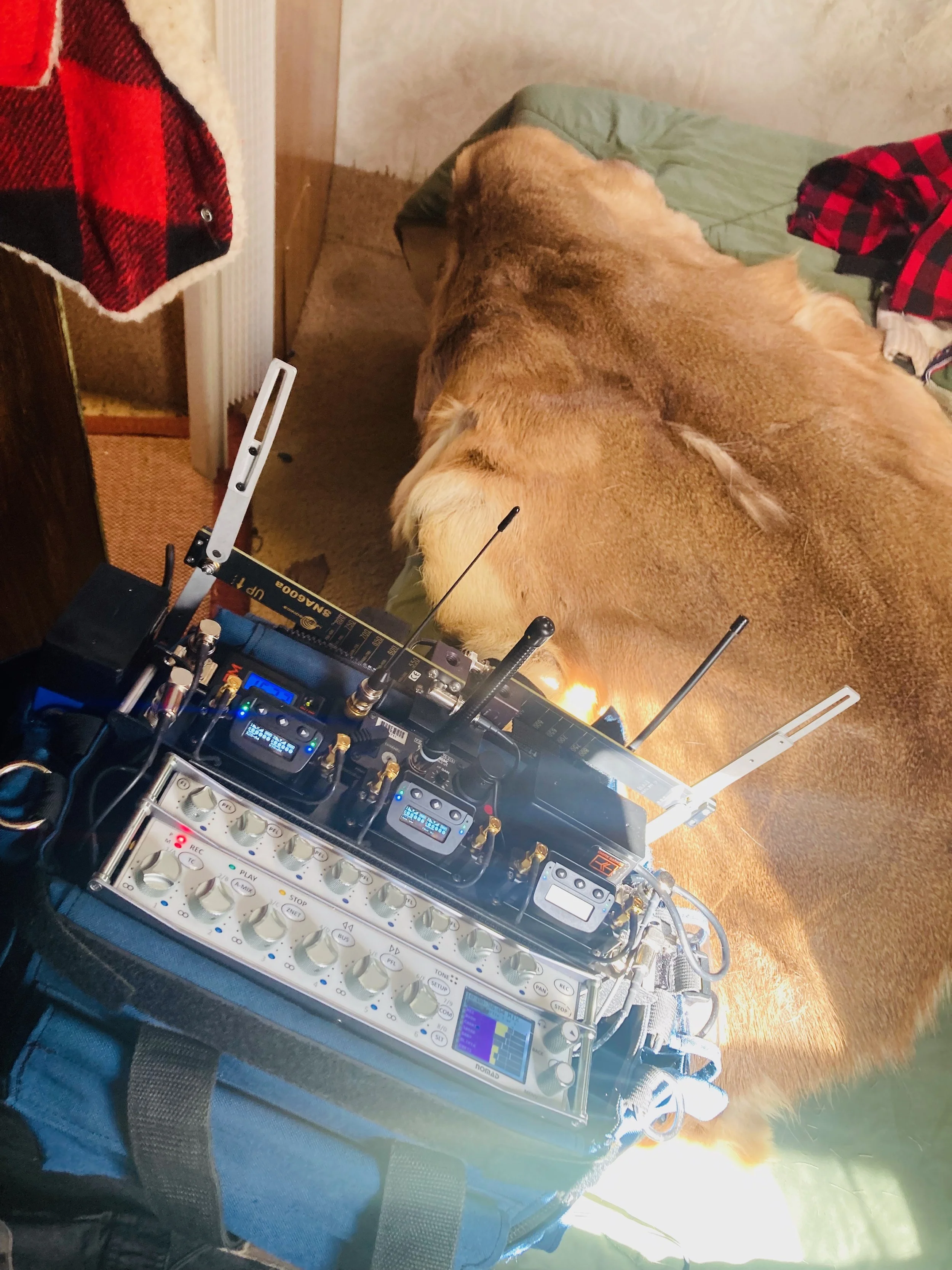 Sprinter Jobs — Matthew Manson