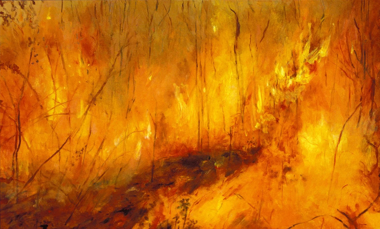 Wildfire Paintings — Sukey Bryan